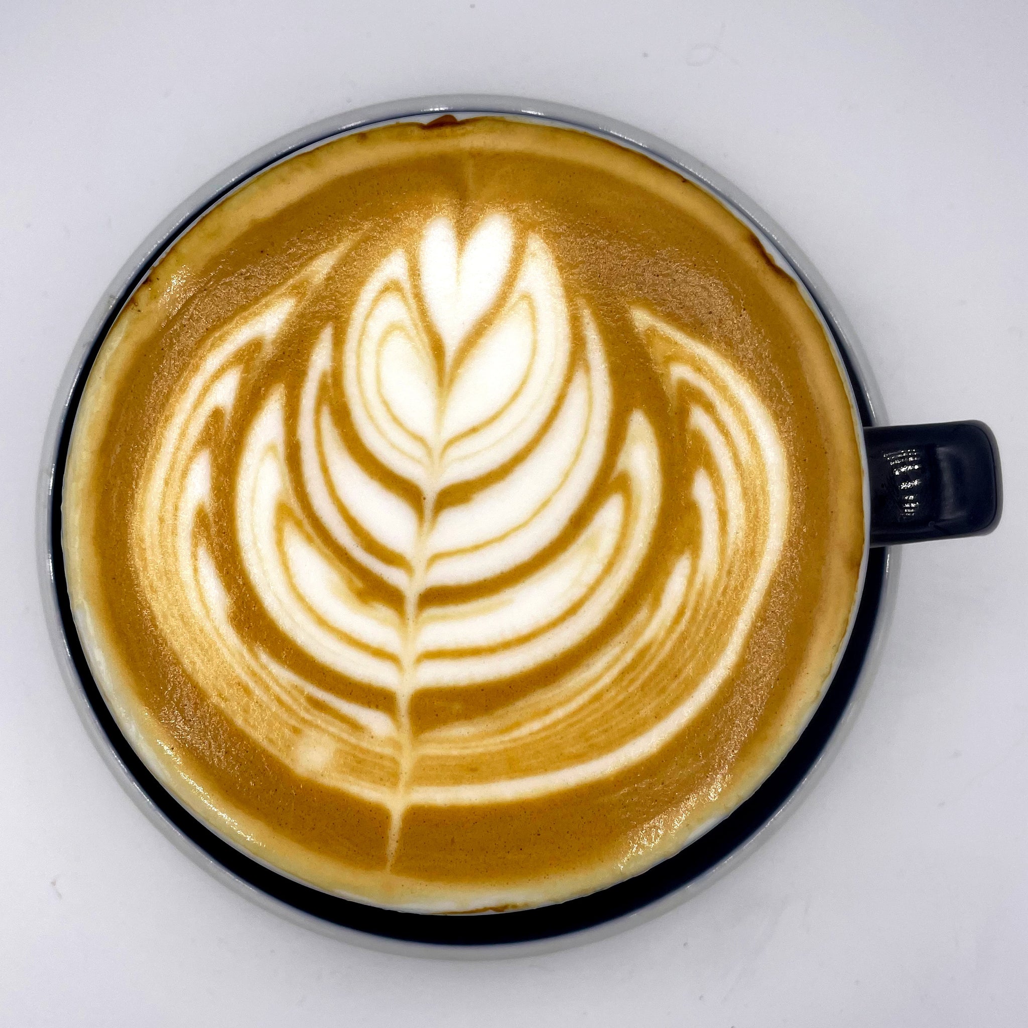 3-Day Deep-Dive Coffee Training | Procreate Coffee